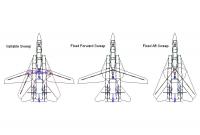 F-14 Tomcat Park Jet - RC Groups
