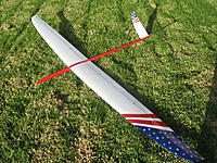 Radical Sailplane ... Martin Webershock Andreas Herrig - RC Groups