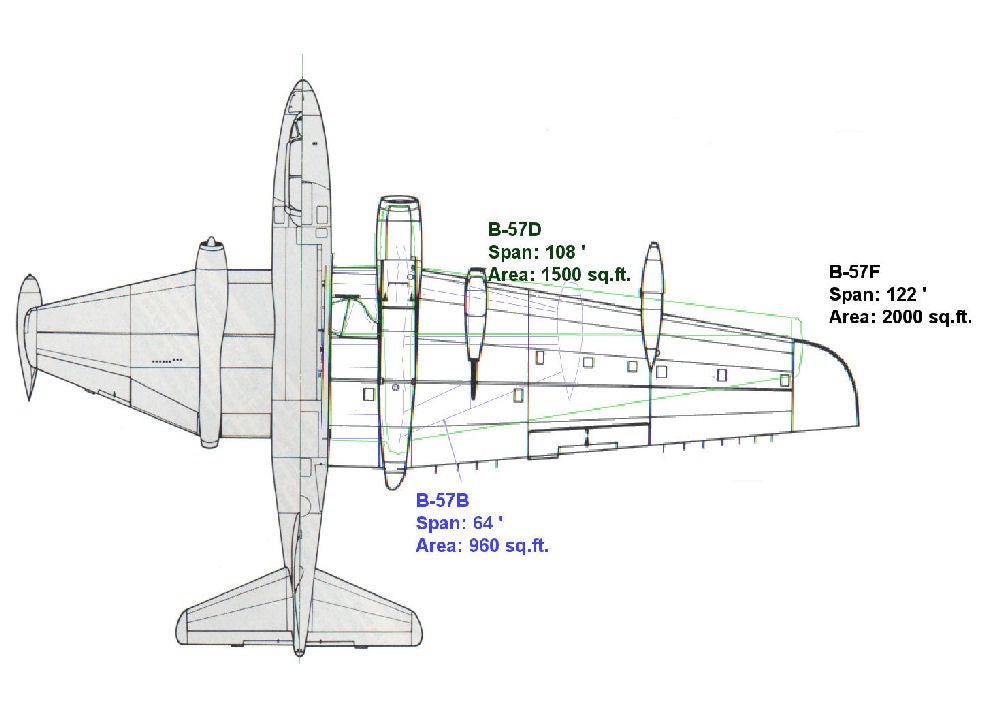 Three high-flying birds soar together for the first time since the ...