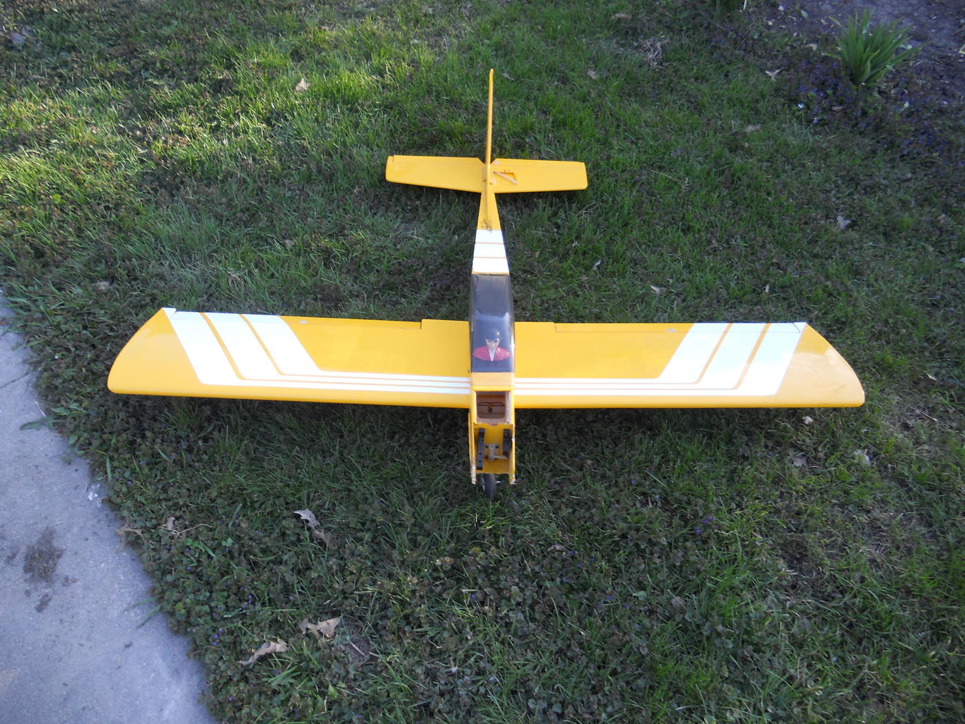Carl Goldberg Tiger II ARF - RC Groups