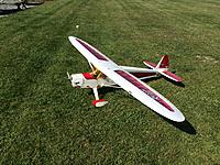 Sig Rascal 110" BNF - RC Groups